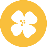 Use Radiate to grow longer, stronger, healthier roots in all crops.